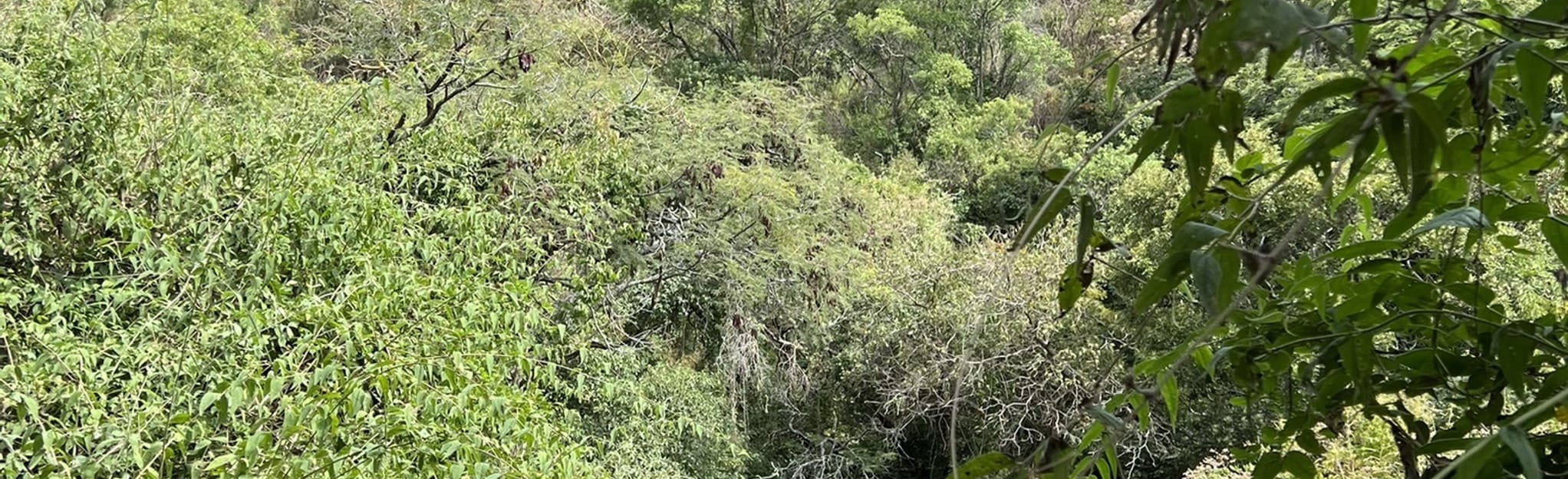 Tempisque - Campos Ceremoniales, Jalisco, Mexico - 10 Reviews, Map ...