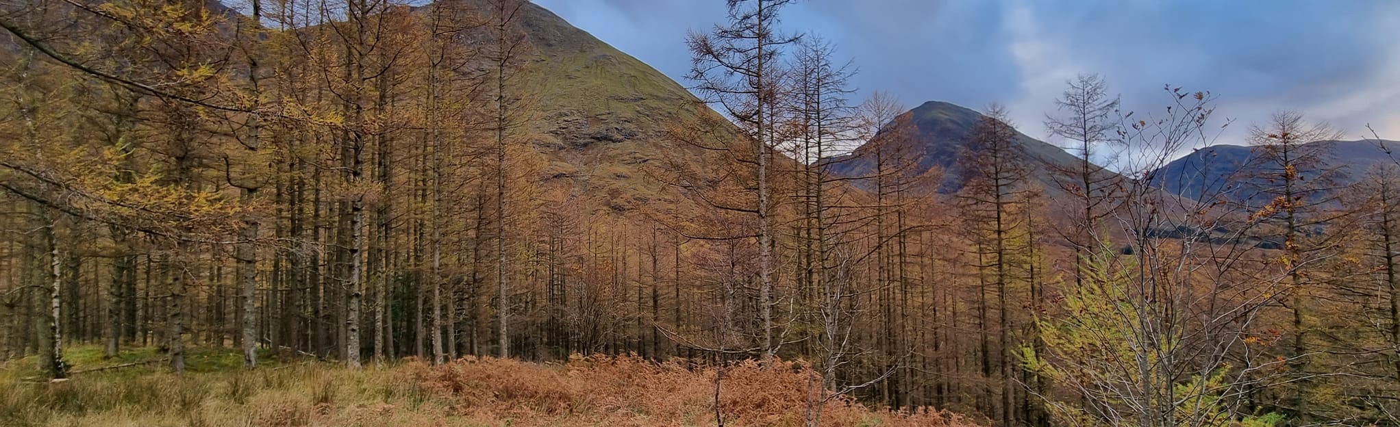 An Torr and Tom a' Ghrianain (Signal Rock): 324 fotos - Highlands ...
