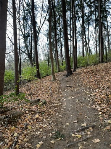 Best Hikes and Trails in University of Michigan Saginaw Forest | AllTrails