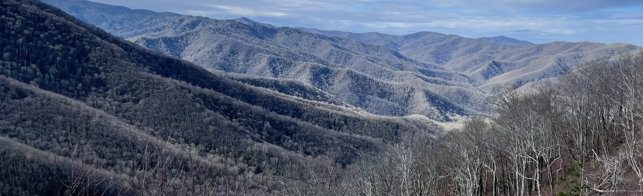 Mount Collins via Little River Trail and Sugarland Mountain Trail: 19 ...