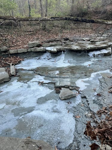 Best Hikes and Trails in Stanberry Park | AllTrails