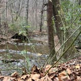 Upper Chattahoochee Campground to Horse Trough Falls, Georgia - 114 ...