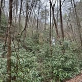 Upper Chattahoochee Campground to Horse Trough Falls, Georgia - 114 ...