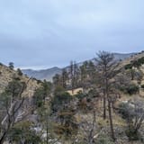 Tejas Trail and McKittrick Ridge, Texas - 34 Reviews, Map | AllTrails