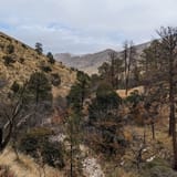 Tejas Trail and McKittrick Ridge, Texas - 34 Reviews, Map | AllTrails