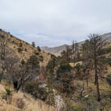 Tejas Trail and McKittrick Ridge, Texas - 34 Reviews, Map | AllTrails