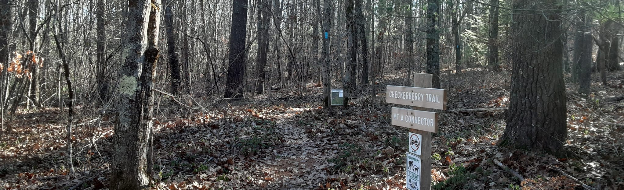 Checkerberry Trail, Maine - 6 Reviews, Map | AllTrails