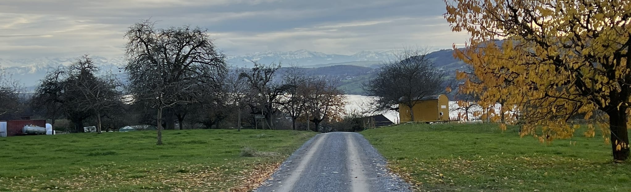 Seengen - Lenzburg, Aargau, Switzerland - Map, Guide | AllTrails