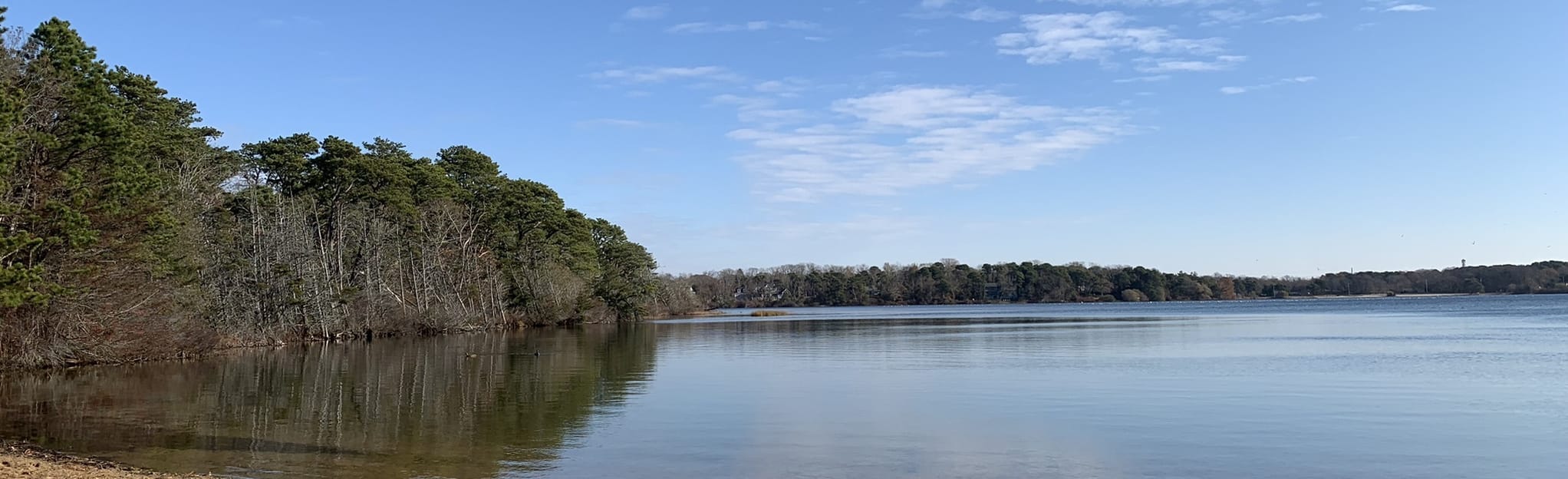 Great Pond Loop: 171 Reviews, Map - Massachusetts | AllTrails