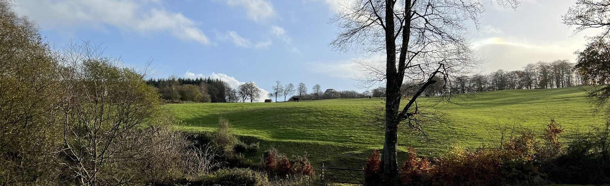 Quantock Forest Circular , Somerset, England - 43 Reviews, Map | AllTrails