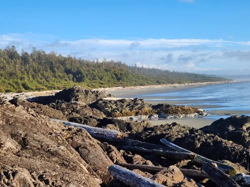 10 Best Hikes and Trails in Pacific Rim National Park Reserve | AllTrails