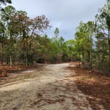 NMB Nature Trail, South Carolina - 306 Reviews, Map | AllTrails