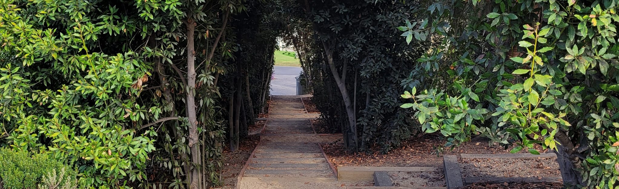 Niguel Botanical Preserve Trails - California | AllTrails