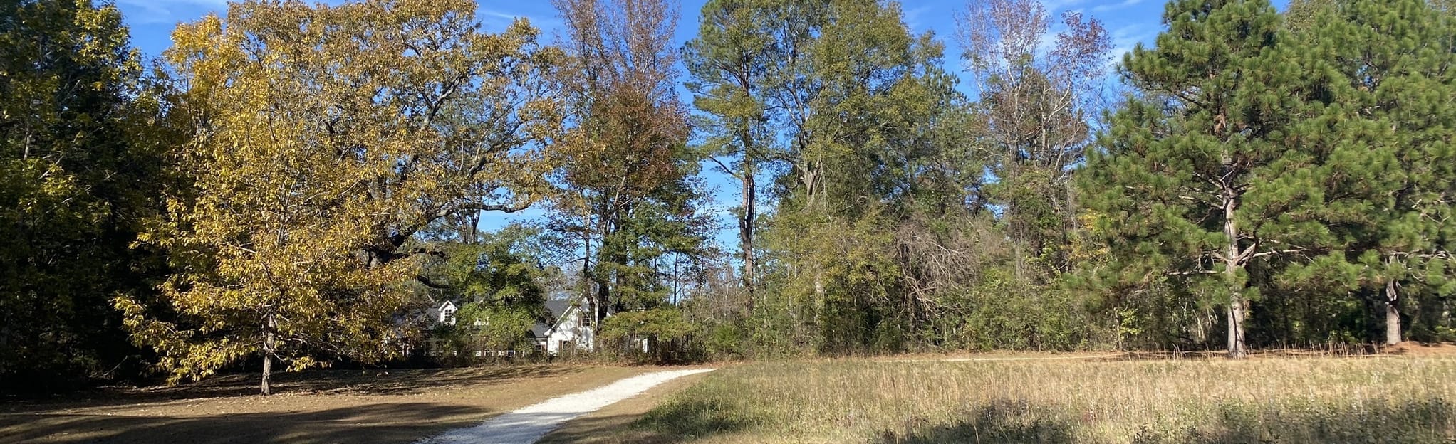 Kiesel Park Outer Loop: 32 Reviews, Map - Alabama | AllTrails