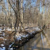 Lake Leota Trail, Michigan - 478 Reviews, Map | AllTrails