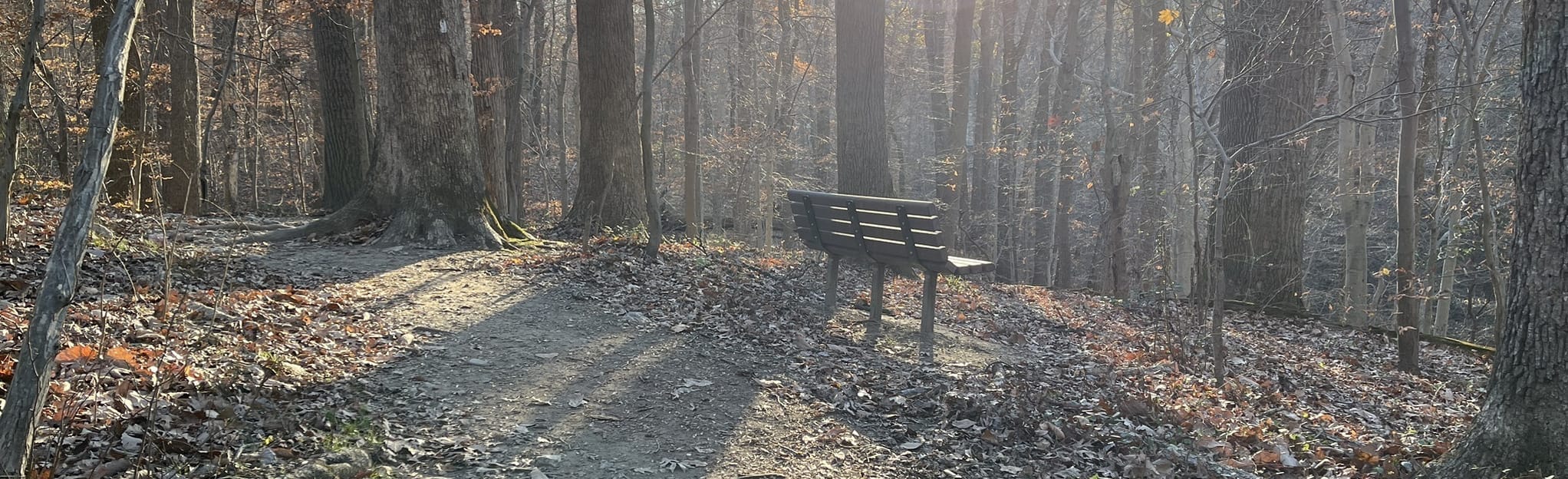 Potomac Overlook Trail: 333 Reviews, Map - Virginia | AllTrails