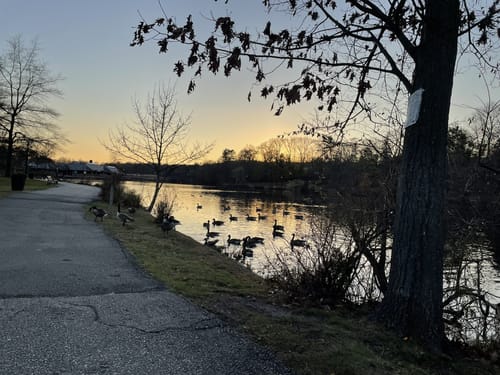 Best Hikes and Trails in Verona Park | AllTrails