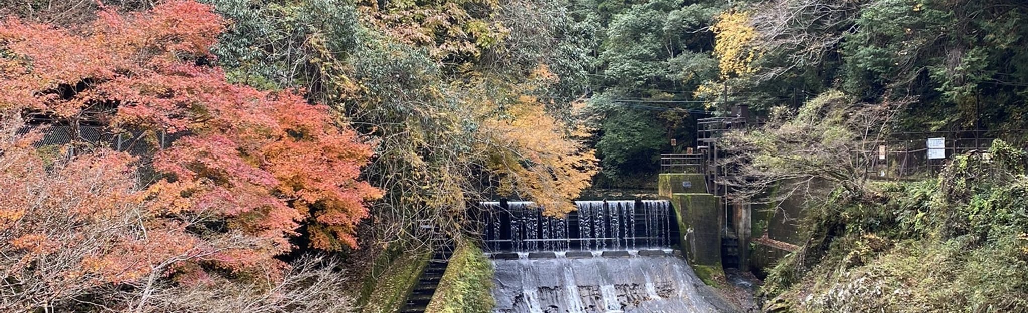 Arashiyama - Mount Atago - Takaosan Jingoji Temple - Kyoto, Japan ...