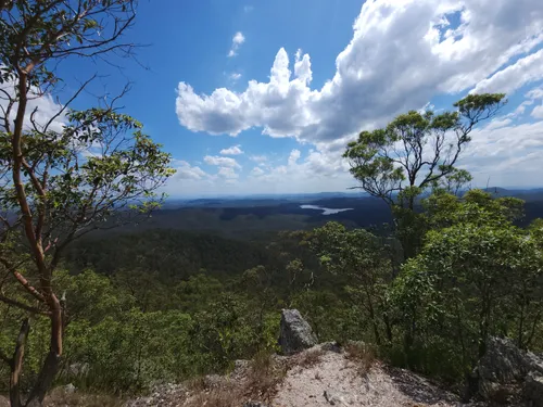 10 Best Hikes and Trails in Moggill Conservation Park | AllTrails