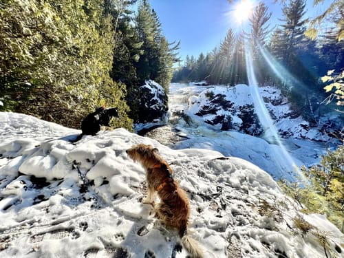 Best Hikes and Trails in Iron County Forest | AllTrails