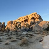 Turtle Rock Loop, California - 76 Reviews, Map | AllTrails