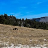 Hall Ranch Loop: Nighthawk to Bitterbrush, Colorado - 415 Reviews, Map ...
