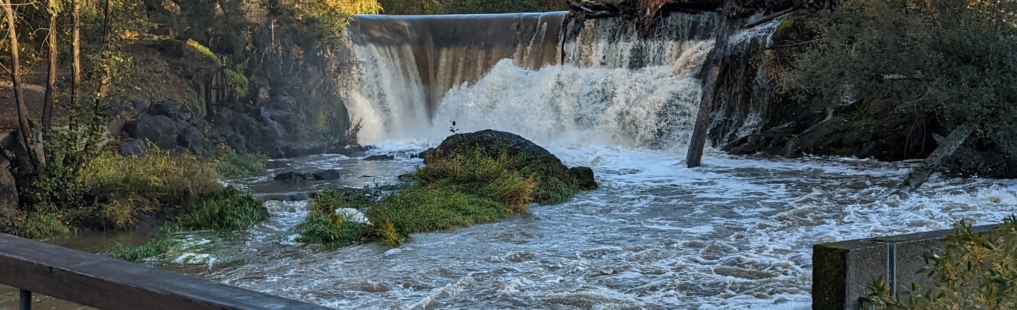 Tumwater Falls Trail: 727 Reviews, Map - Washington | AllTrails