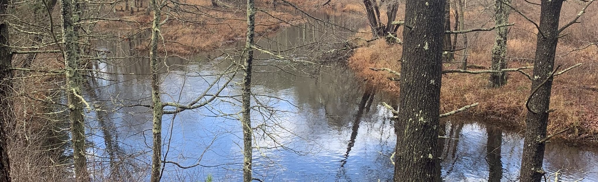 Calef East Trail, New Hampshire - 28 Reviews, Map | AllTrails