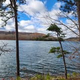 Council Bluff Lake Loop, Missouri - 266 Reviews, Map | AllTrails