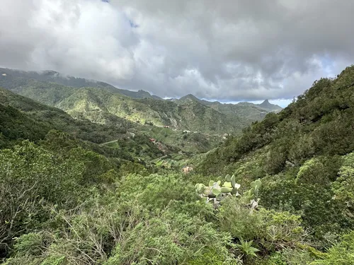 10 Best Kid Friendly Trails in Parque Rural de Anaga | AllTrails