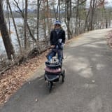 Lake Blue Ridge Campground Trail , Georgia - 539 Reviews, Map | AllTrails