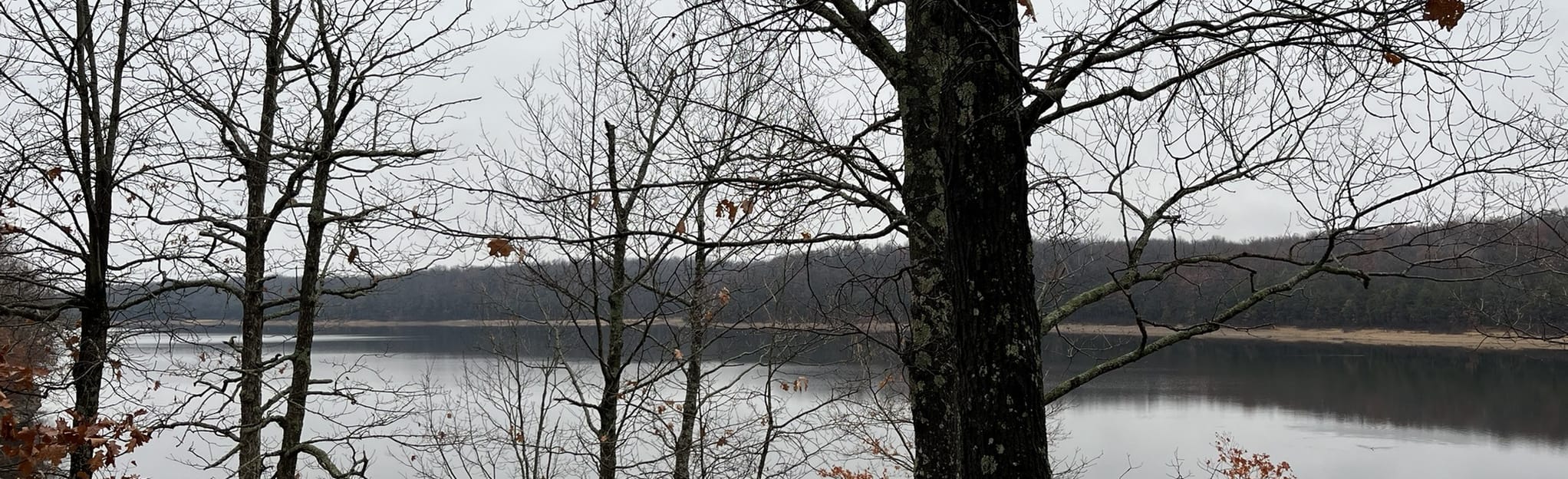 Jerry's Progress and Valhalla Loop, Missouri - 86 Reviews, Map | AllTrails