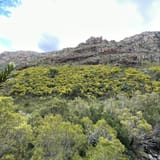 Krom River Trail, Western Cape, South Africa - 282 Reviews, Map | AllTrails