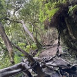 Krom River Trail, Western Cape, South Africa - 293 Reviews, Map | AllTrails