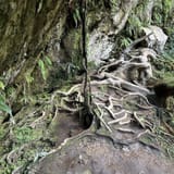 Krom River Trail, Western Cape, South Africa - 282 Reviews, Map | AllTrails