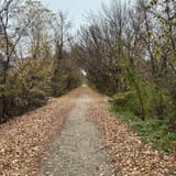 Redbud Trail, Kansas - 123 Reviews, Map | AllTrails