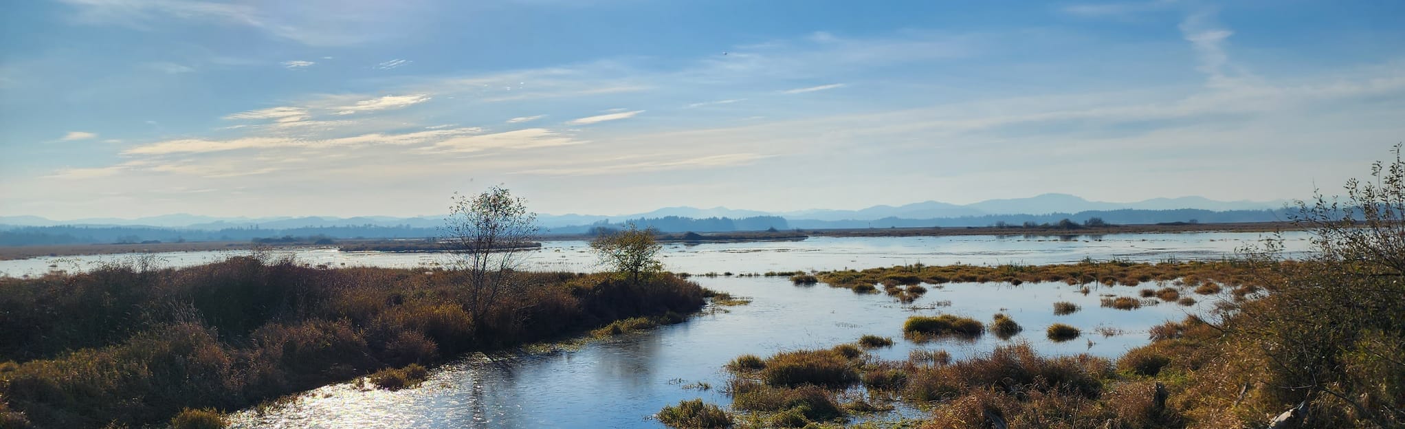 Fern Ridge, Fisher Butte Unit, Oregon - 28 Reviews, Map | AllTrails