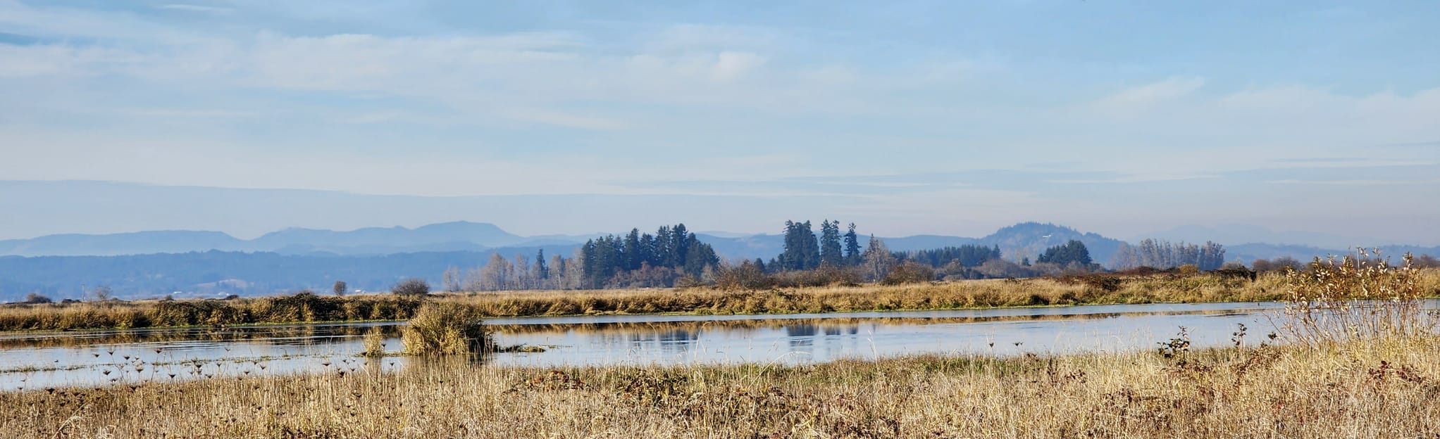 Fern Ridge Fisher Butte to Royal Ave Dikes Loop, Oregon - 14 Reviews ...