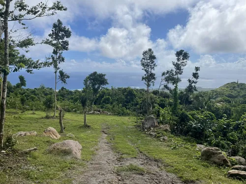 Best 10 Hikes and Trails in Central Forest Reserve National Park ...