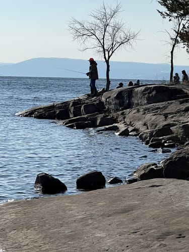 Best Hikes and Trails in Button Bay State Park | AllTrails