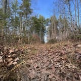 Trace Ridge Trail, North Carolina - 51 Reviews, Map | AllTrails