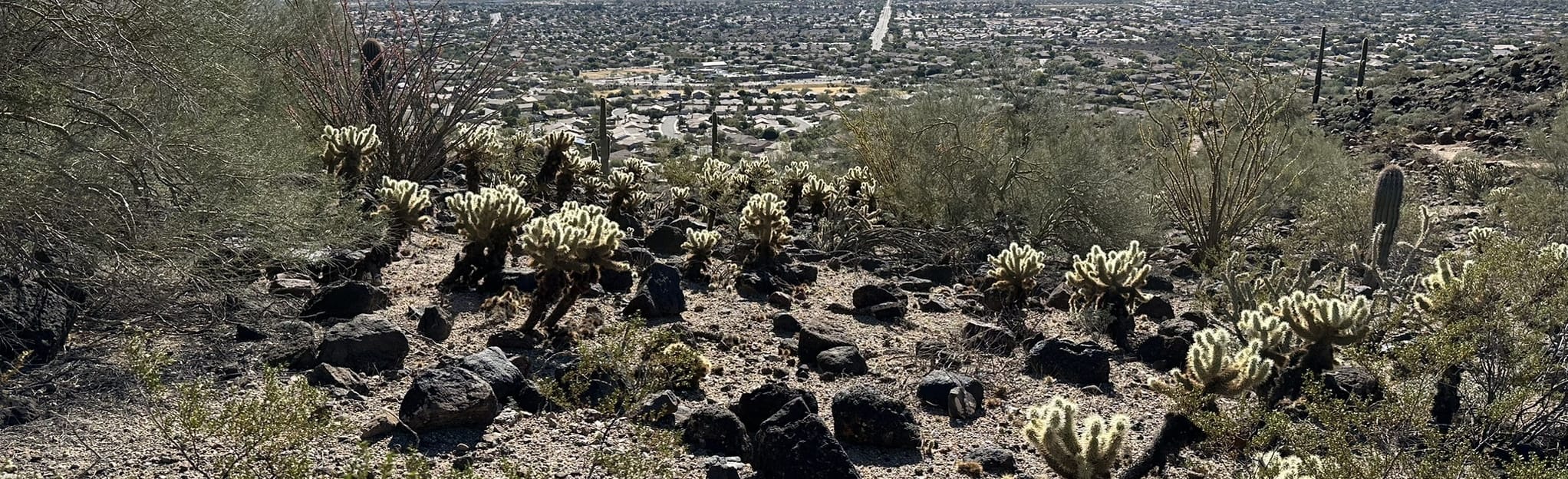 Circumference Trail and Basalt Trail | Map, Guide - Arizona | AllTrails