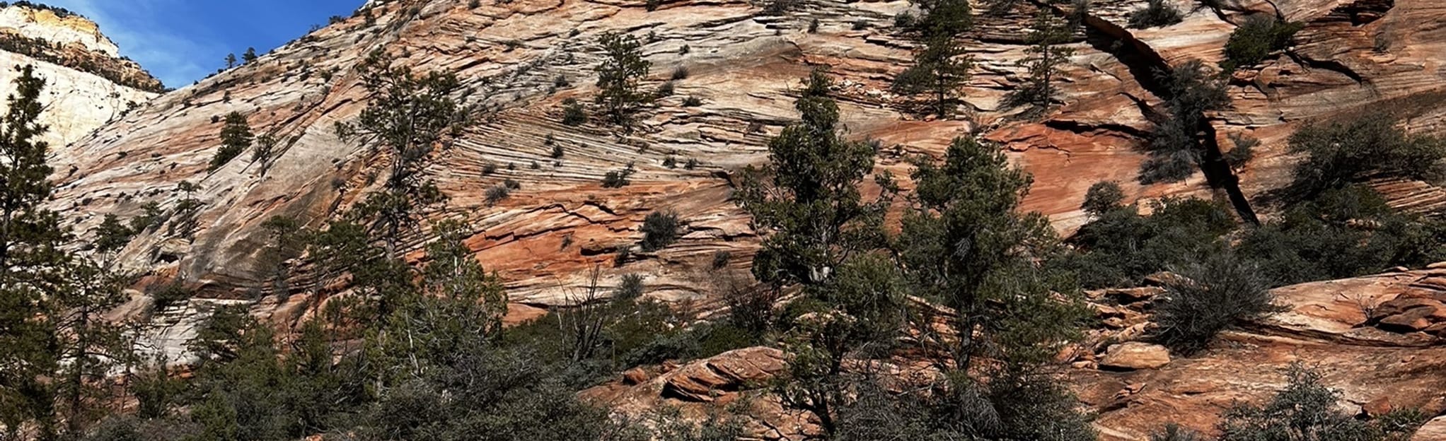 Cascade Falls, Utah - 127 Reviews, Map | AllTrails