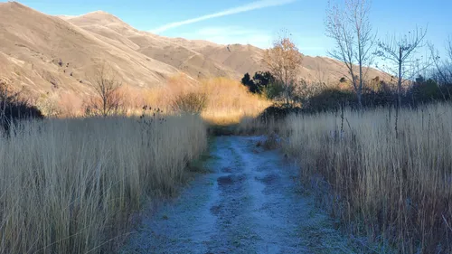 Best Hikes and Trails in Chief Timothy Park | AllTrails