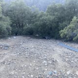 Harding Truck Trail, California - 249 Reviews, Map | AllTrails