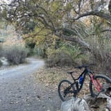 Sullivan Canyon Trail, California - 678 Reviews, Map | AllTrails