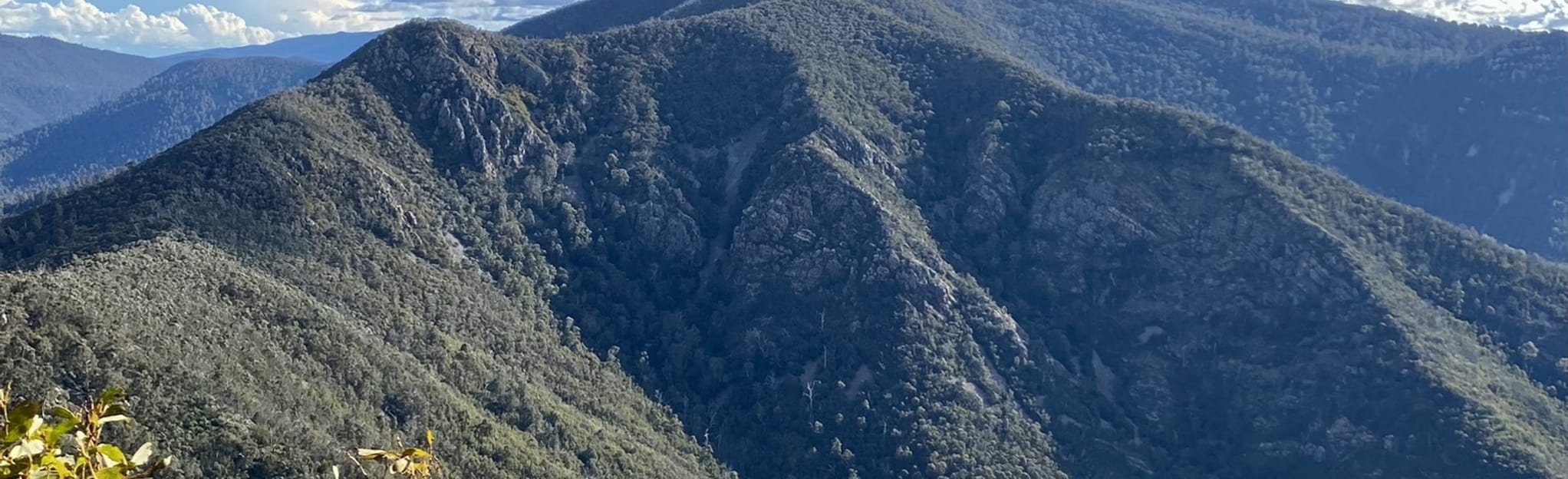 Tidbinbilla Peak Loop: 88 Reviews, Map - Australian Capital Territory ...