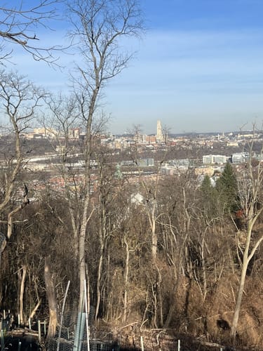 Best Hikes and Trails in South Side Park | AllTrails