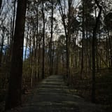Webb Bridge Park Trail, Georgia - 765 Reviews, Map | AllTrails