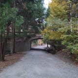 Webb Bridge Park Trail, Georgia - 765 Reviews, Map | AllTrails